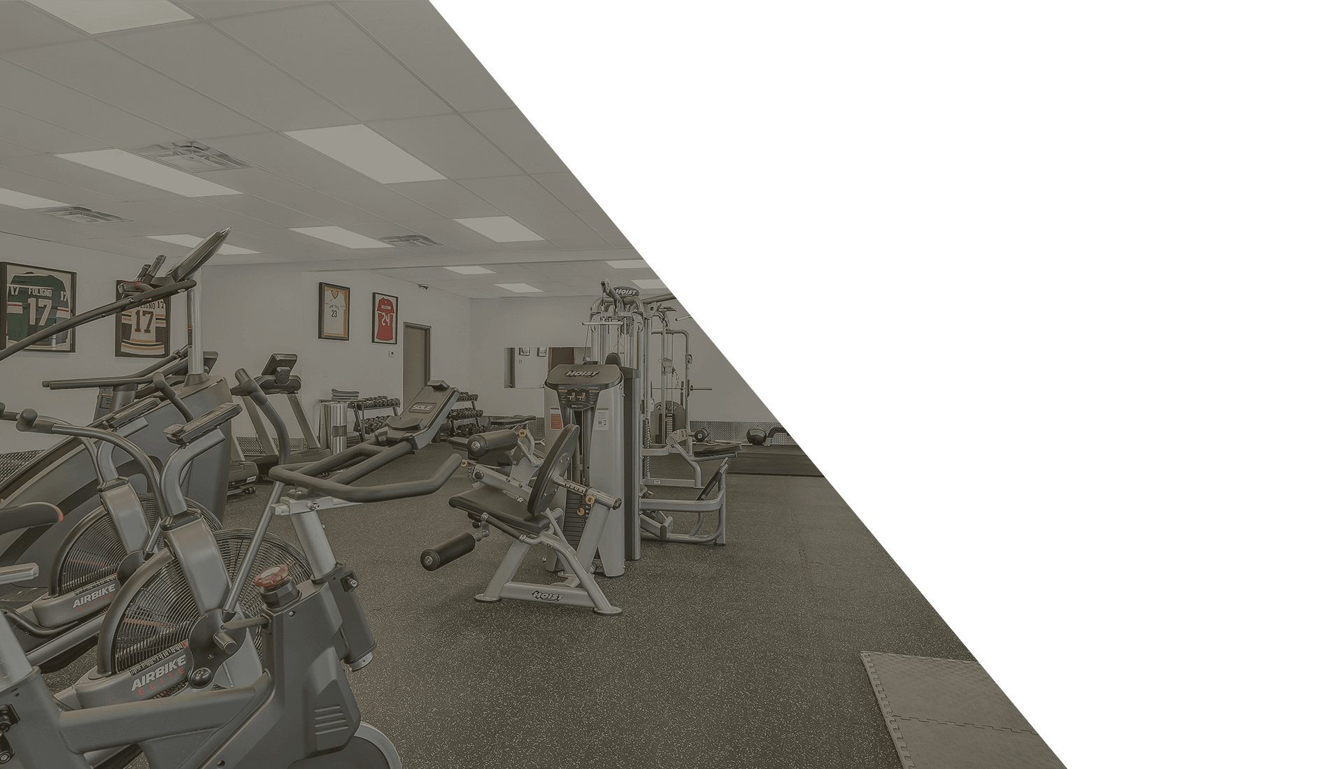 Healthy Living Premier Elite Training & Dynamic Fitness Centre